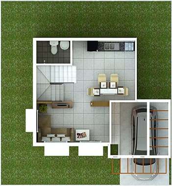 Idesia